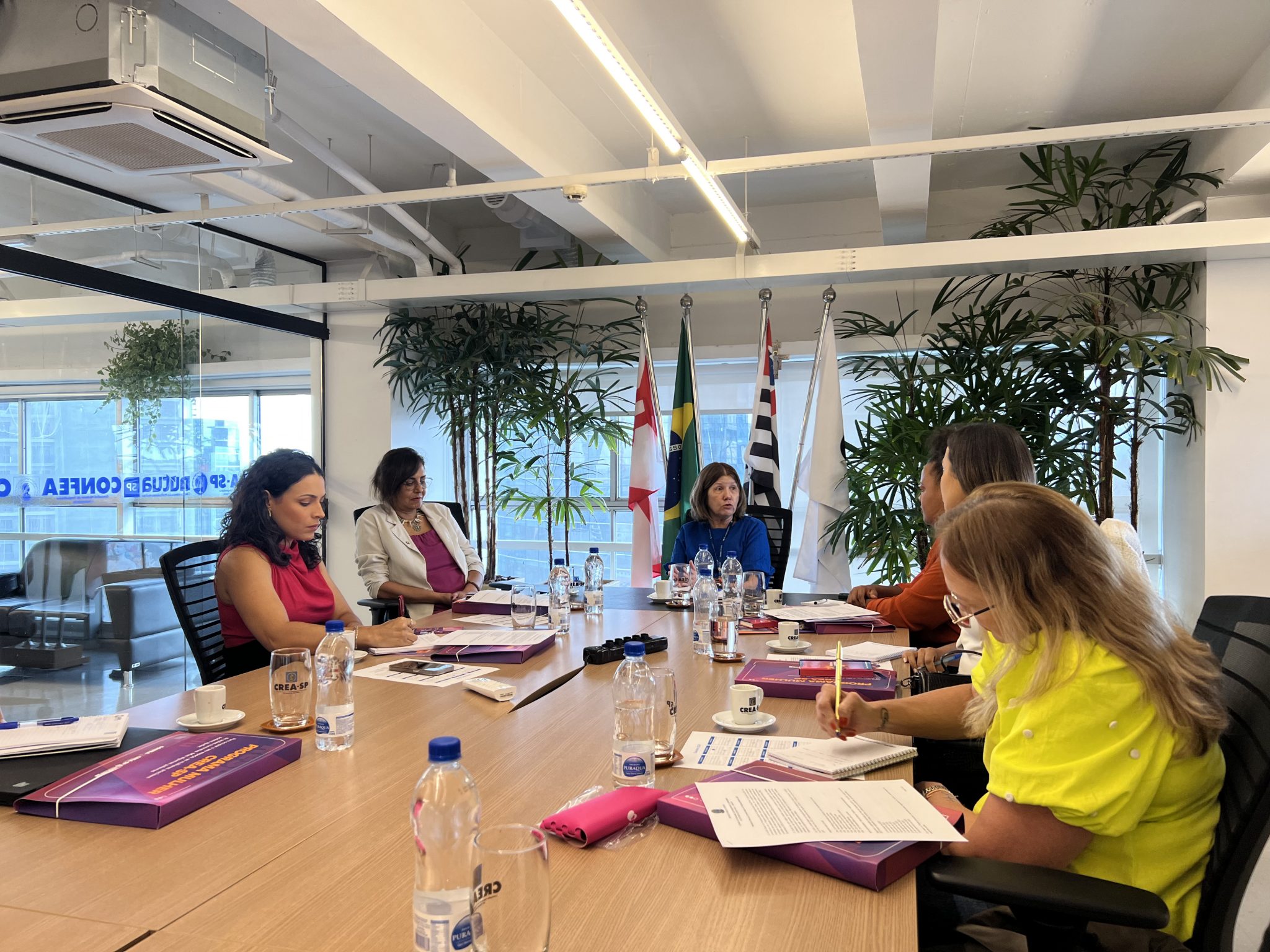 Um novo Comitê Gestor do Programa Mulher - Crea-SP
